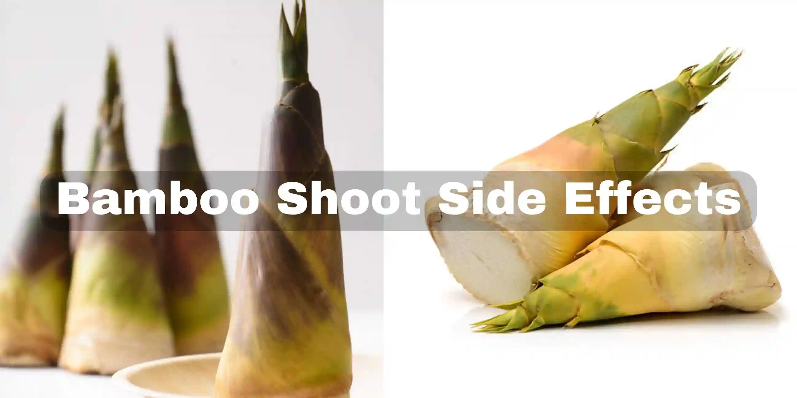 Bamboo Shoot Side Effects | Meserii
